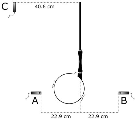 Microphone Positions Relative To Air Rifle A Left Ear Microphone B Download Scientific
