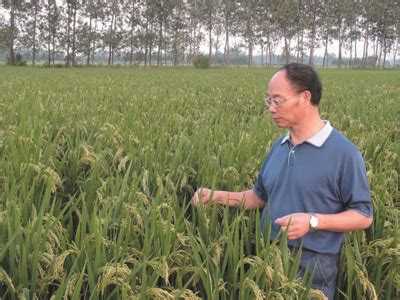 那些研究水稻的大佬们 生物探索
