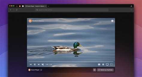 Duckduckgos Macos Web Browser Now In Open Beta
