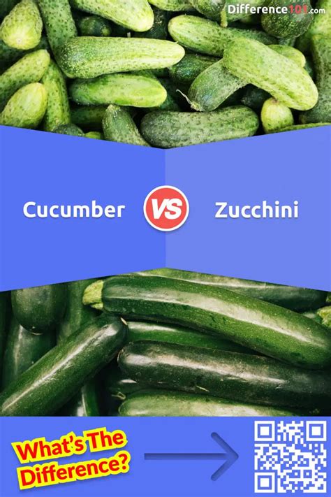 Cucumber Vs Zucchini 8 Differences Examples Pros Cons Difference 101