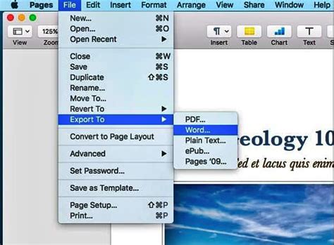 Pages Viewer