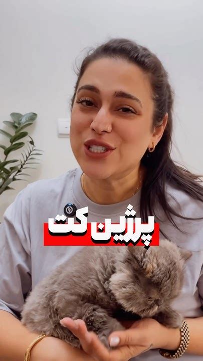 پرشین رو چجوری درست تلفظ کنیم Youtube