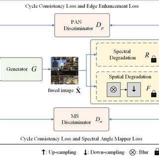 Overview Of The Proposed SD CycleGAN In This CycleGAN Based Framework