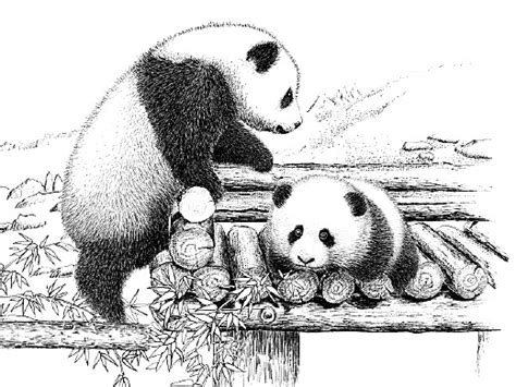 手绘大熊猫创意设计作品图片素材 站酷zcool