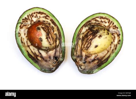 Bad Avocado