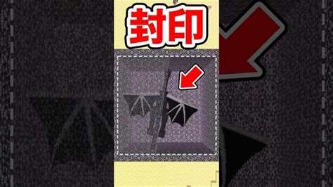 エンドラを捕まえたいんです【マイクラ】shorts ＃マイクラ Minecraft マインクラフト Minecraft