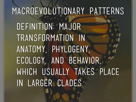 Vocabulary Chapter 20 By Annalise Hernandez