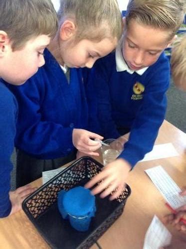 Yr2 Materials Branfil Primary School