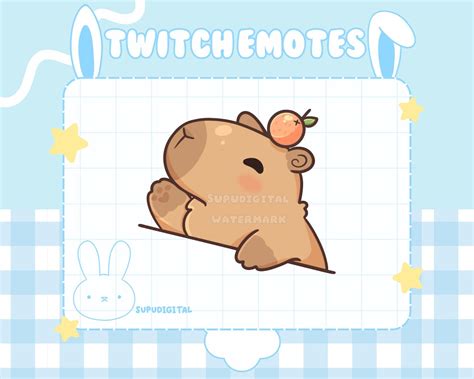 Capybara Bongo Cat Animated Twitch Discord Streamer Emote Etsy