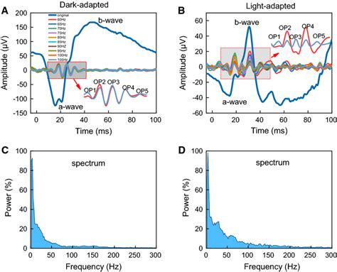 Averaged Dark Adapted A And Light Adapted B Original Erg Signals