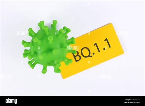 BQ 1 1 Omicron Subvariant Virus Mutation Concept With Virus Model And