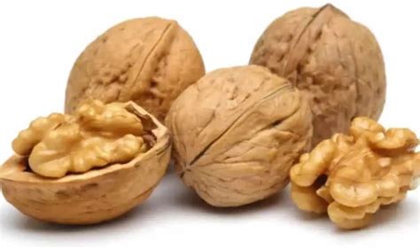 Cevizin Faydaları Nelerdir Günde Kaç Tane Tüketilmeli Fit ve Form