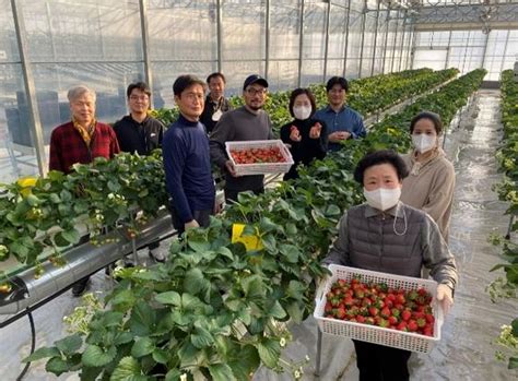 스마트팜 식물공장스마트농업 이끌 ‘용인농민 모집수원화성신문 수원·화성 대표 지역신문