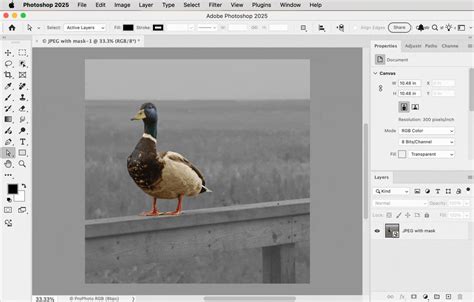 Xmp Files Not Saved For Open As Camera Raw Methods Adobe Community