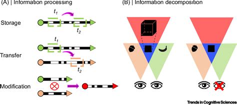 figure 1 from information decomposition and the informational