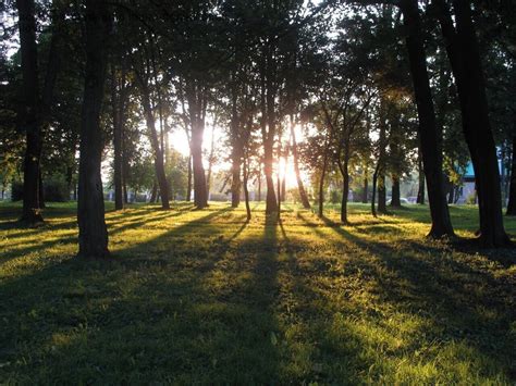 Я люблю Івано Франківськ У Франківську на місці “Молочного кафе” будують центр сучасного