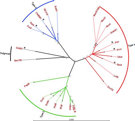 Manganese Privation Induced Transcriptional Upregulation Of The Class Iia Bacteriocin