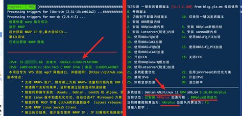 debian11获取ip失败 【结论：原环境是 debian 11 bbrplus 4 14 129，通过脚本入口 [ylx2016