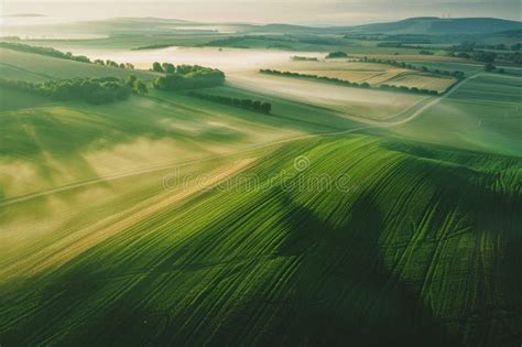 Bird S Eye View Of Agricultural Cultivated Seeded Fields Farmland In The Rays Of The Rising Sun