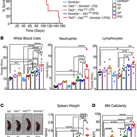 Dysregulated Gene Expression Of Hsc Self Renewal And Hematopoietic