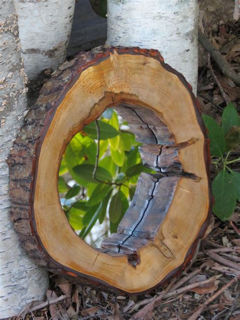 Hollow Log Slice Mirror Mh012 — Falcon Wood And Laser Works