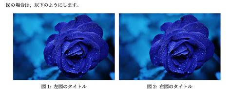 【latex】表や図を横に並べる方法