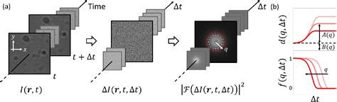 Figure 1 From Protein Sizing With Differential Dynamic Microscopy