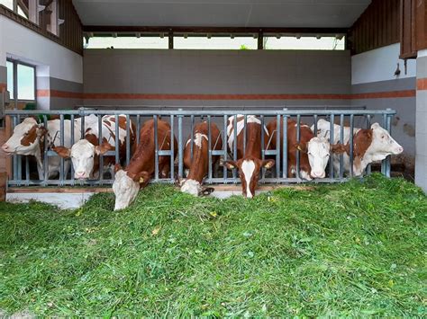 Haus Fendtenlehen In Ramsau Bei Berchtesgaden