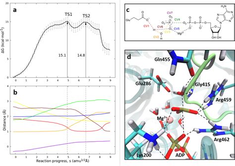 Figure 3 From Conformational Changes And ATP Hydrolysis In Zika