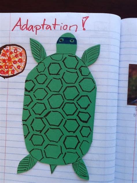 1000 Images About Science Foldables And Activities On Pinterest