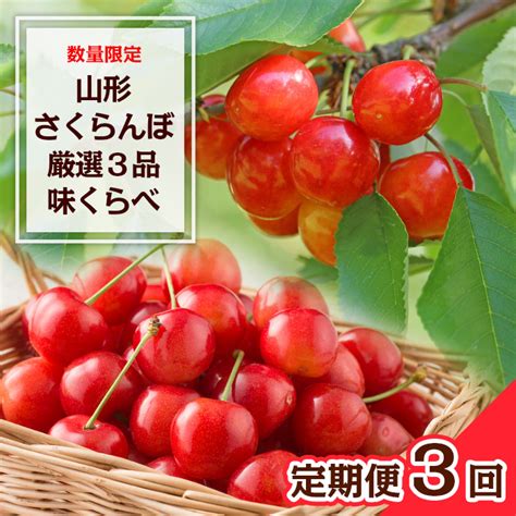 【定期便3回】数量限定 山形さくらんぼ 厳選3品味くらべ 【令和6年産先行予約】fs23 865jalふるさと納税jalのマイルがたまる