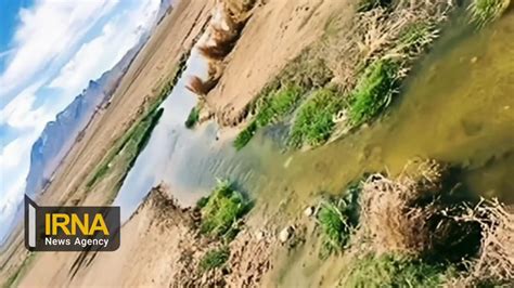 آبیاری مزارع کشاورزی با آب های آلوده به میکروب فیلم