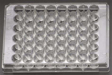 48 Well Plate Template