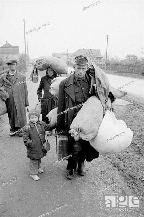 Hungarian Revolution Of 1956 Some Hungarian Refugees Being Sheltered