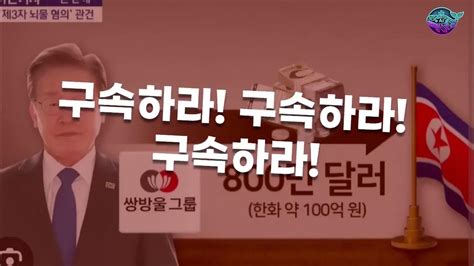 이재명 구속해 우리공화당 당원 동지의 Ai 버전 더불어민주당 해체 윤석열 탄핵 반대 이재명 구속 윤석열 조원진 보수