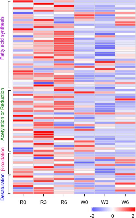 comparative transcriptomics of the pheromone glands provides new
