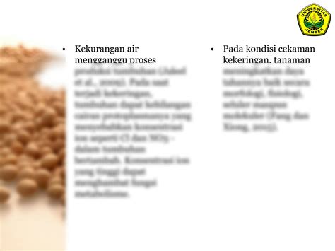 Solution Uji Kemampuan Recovery Tanaman Kedelai Varietas Lokal Putih