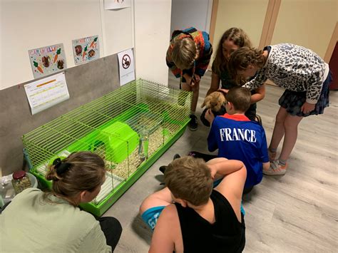 Inauguration des nouveaux locaux du SESSAD Mosaïk Acodège