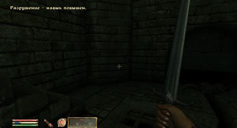 Вспоминаем замечательную игру The Elder Scrolls Oblivion Пикабу