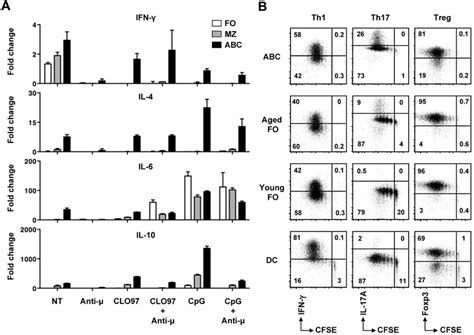 Cytokine Expression And T Cell Polarization On Ag Presentation By Abcs