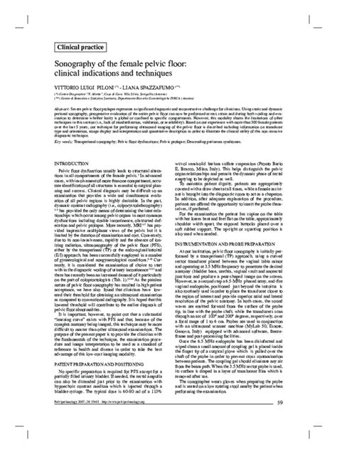 Pdf Sonography Of The Female Pelvic Floor Clinical Indications And