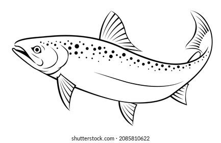 37 718 imágenes de Salmon drawing Imágenes fotos y vectores de stock