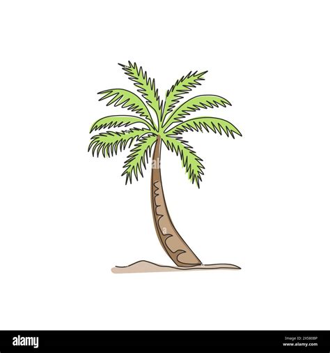 Palm Tree Line Drawing Cut Out Stock Images And Pictures Alamy