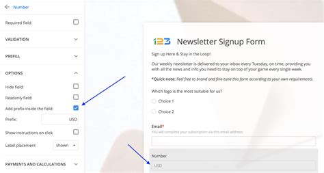 how to add a custom prefix in a field 123formbuilder docs