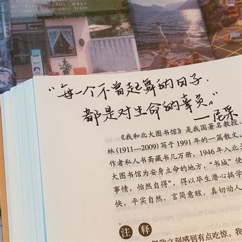 语录分享 ©️小熊手写 堆糖，美图壁纸兴趣社区