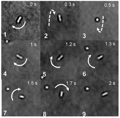 Applied Sciences Special Issue Nanomanufacturing Of Biomedical Systems And Devices