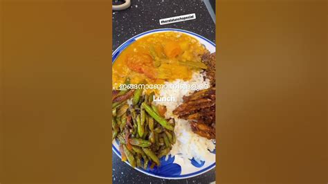 Kerala Lunch Special Australianmalayalamvlog Dayinthelife