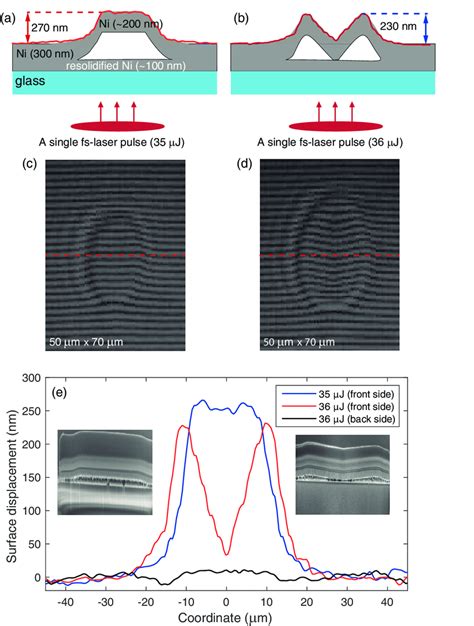 Color Online Interferometric Microscopy Of Ni Film Irradiated At Low