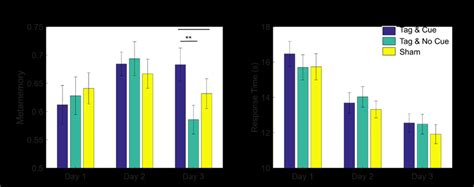 Stamp Tagging And Cueing Enhances Episodic Metamemory Without A Download Scientific Diagram