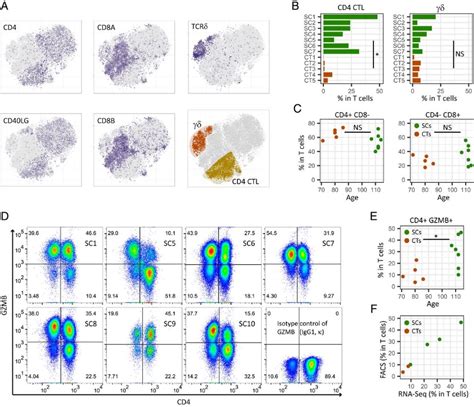 Pnas：细胞毒性cd4 T细胞竟是长寿的关键 梅德乐
